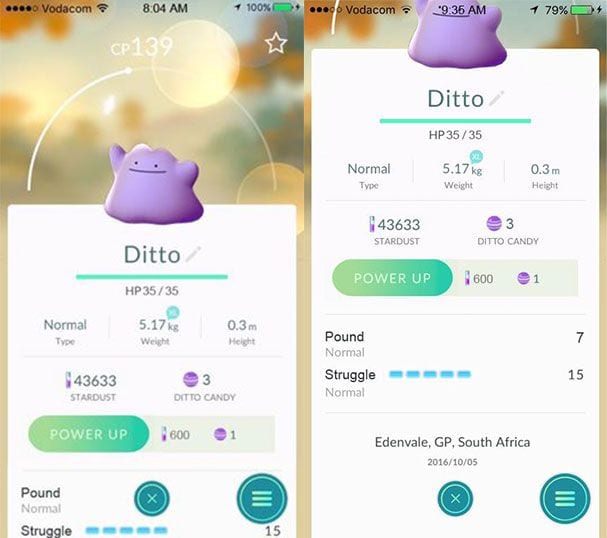 Pokemon GO latest update + Ditto caught in Africa! - Opptrends 2025