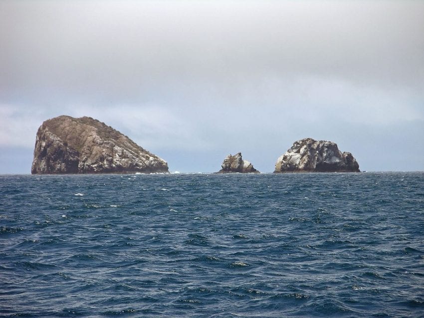 5 Best Dive Sites in the Galapagos - Opptrends 2025