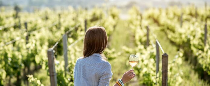 4 Reasons Why Every History Lover Should Visit Bordeaux - Opptrends 2025